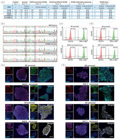 A Cell Based Optimised Approach For Rapid And Efficient Gene Editing Of