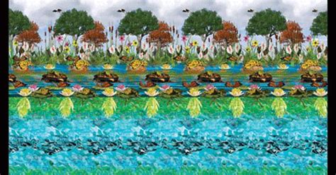 Stereograms To See Them You Have To Look At The Image Cross Eyed