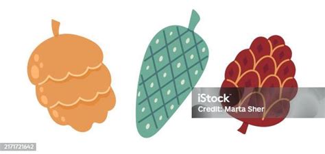 전나무 또는 솔방울 세트 가을 아늑한 장식 요소 흰색 배경에 고립 된 평면 벡터 일러스트 레이 션 겨울에 대한 스톡 벡터 아트 및 기타 이미지 Istock