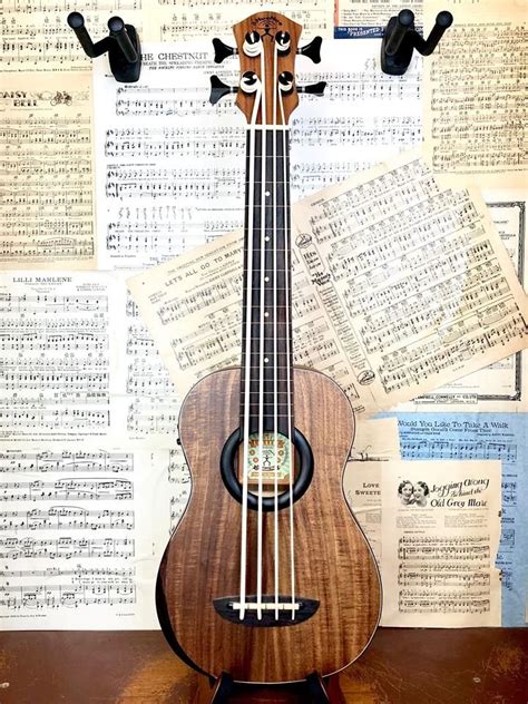 Anuenue Bass Ukulele Fretless Bass Ukulele Ann Imbk Im