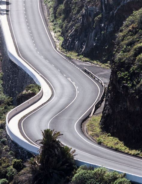 Vertical Shot Of A Curvy Asphalt Road Surrounded By Thick Green Trees