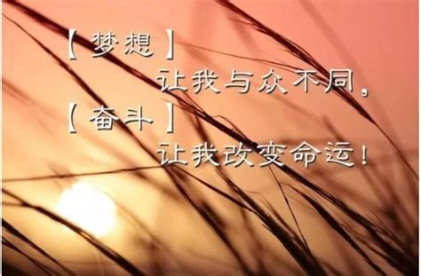 红枣泡水的作用 知乎