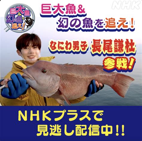 見逃し配信『巨大魚＆幻の魚を追え！～大阪湾の魚大調査』 マクロベース株式会社 公式hp