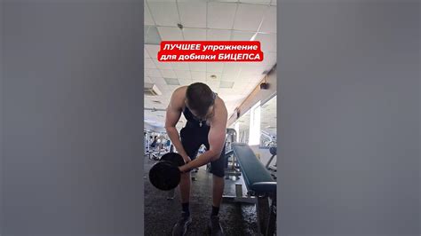 Лучшее упражнение на бицепс Fitness Sports здоровье Bodybuilding