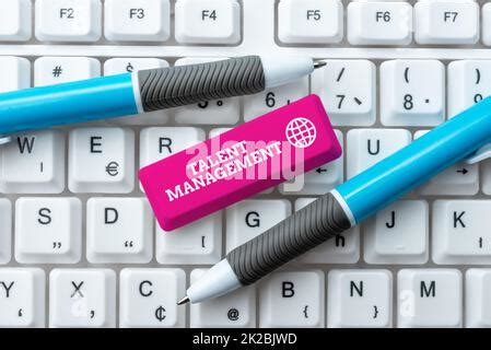 Creating New Word Processing Program Fixing Complicated Programming