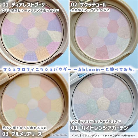 現貨預購🎉日本canmake 棉花糖蜜粉餅 定妝蜜粉 棉花糖蜜粉 蜜粉餅 皮革限定款 Mb自然膚色 蝦皮購物
