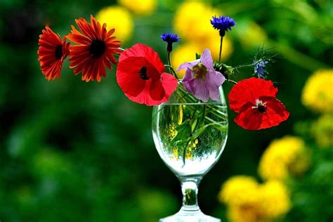 خبرآنلاین تصاویری از گل و گلدان های فوق العاده زیبا؛ ایده ای برای