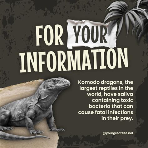 Komodo Knowledge Fyi Linkedin Post 47017008 Template