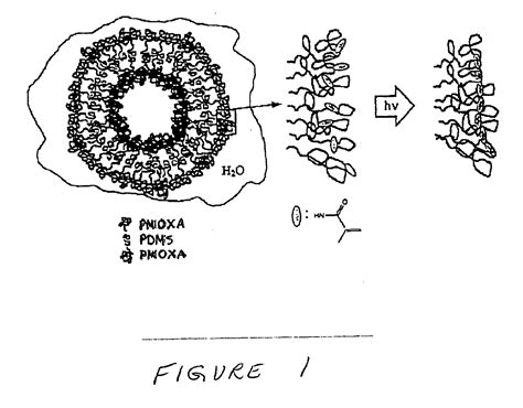 Amphiphilic Copolymer Patented Technology Retrieval Search Results Eureka Patsnap