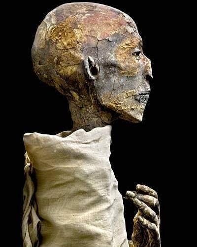 The Mummy Of Ramesses Iv 1155 1149 Bc Son Of Rameses Lll Who Was