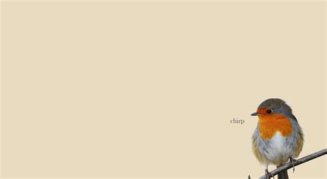 Chirp Hd Wallpapers