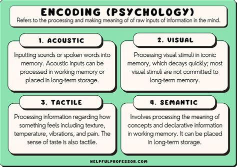 The Six Types Of Encoding Psychology Of Memory 2025