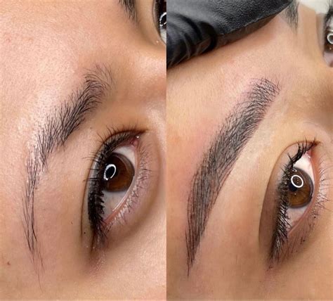 Microshading Eye Makeup Designs Waxed Eyebrows Makeup Designs