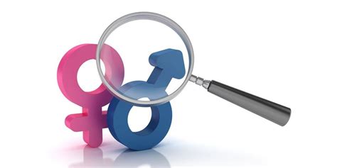 World A Biologist Explains Why Sex Is Binary Rwsjauto