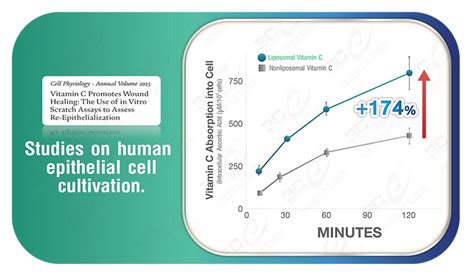 Nutrimin The Innovative Ingredient With High Technology
