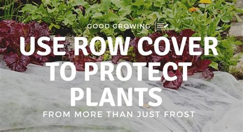 Use Row Cover To Protect Plants From More Than Just Frost Good Growing Illinois Extension UIUC
