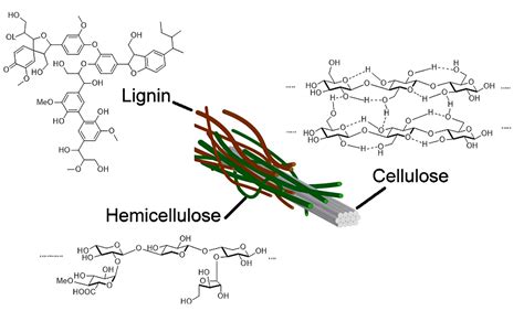Structure Of Cellulose And Hemicellulose Crystalline