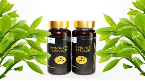 Norland Immune Vital Capsules Classy Lifestyle