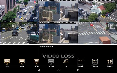 netviewer software