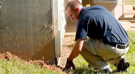 Termite Control Termite Inspection Termite Protection Termite