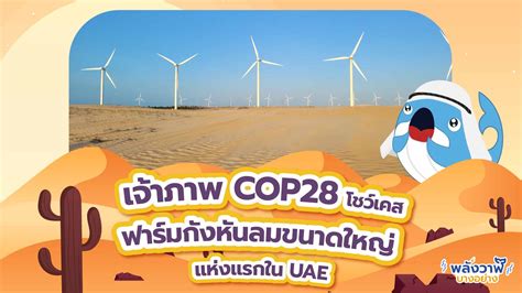 เจ้าภาพ Cop28 โชว์เคส ฟาร์มกังหันลมขนาดใหญ่แห่งแรกใน Uae Whale Energy