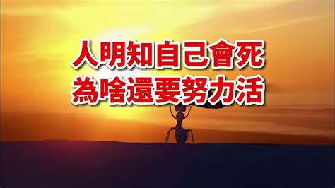 人明知自己會死，為啥還要努力活？看完這篇散文釋然了！ Youtube