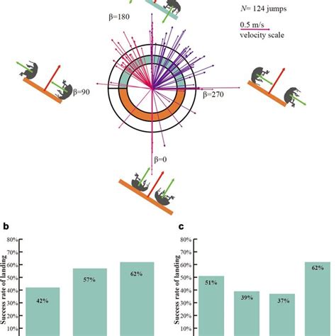 Landing Orientation And Performance Of Beetles A Histogram Of The Download Scientific Diagram