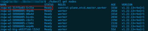 Bug There Is No Cattle Node Agent In K S Issue Rancher