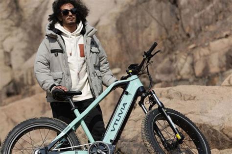 Unleashing The Power Exploring The 1000 Watt Electric Bikes