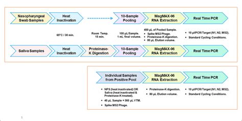 Figure Workflow Outline For Surveillance Screening For Sars Cov Download Scientific Diagram