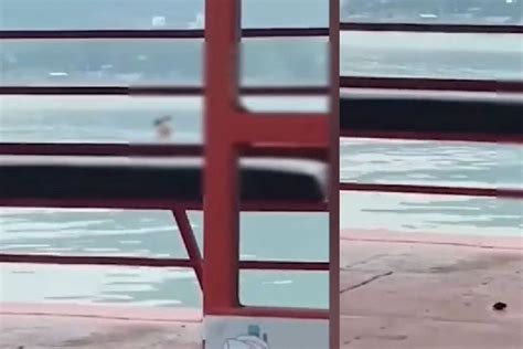 VIDEO Captan A Pareja Teniendo Relaciones En Presa La Boca