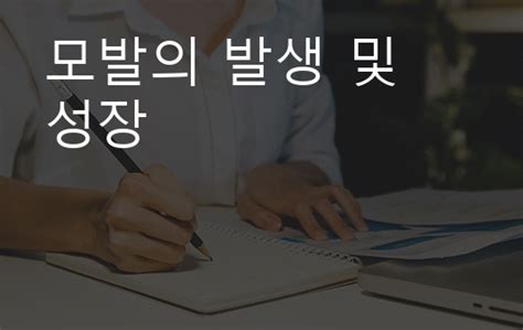 모발의 발생 및 성장