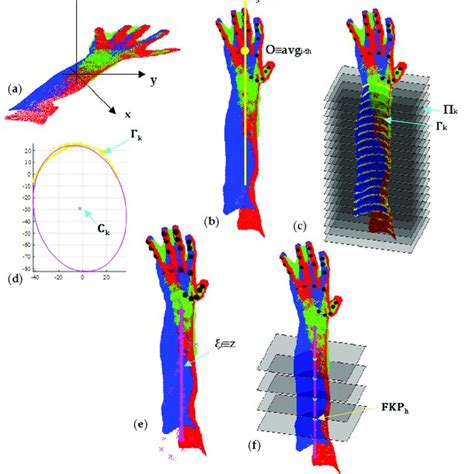 key steps of the automatic process for forearm key point detection a