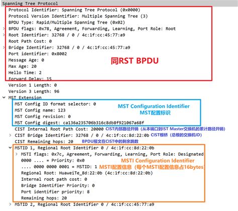 Stp——bpdu及其报文介绍bpdu报文 Csdn博客