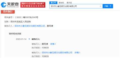 小象互娱及其老板被强执10万 PDD持股小象互娱公司被执行 DoNews快讯