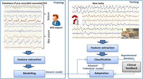 Towards A Personalized Real Time Diagnosis In Neonatal Seizure Detection IEEE Journal Of