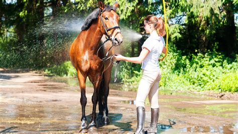 乗馬を楽しむ芸能人