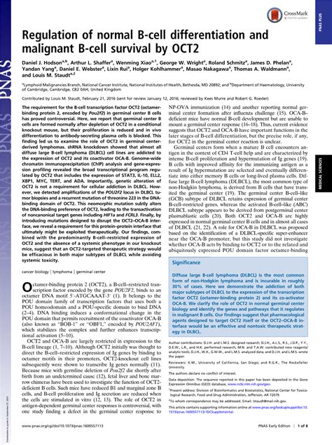 Regulation Of Normal B Cell Differentiation And Malignant B Cell Docslib