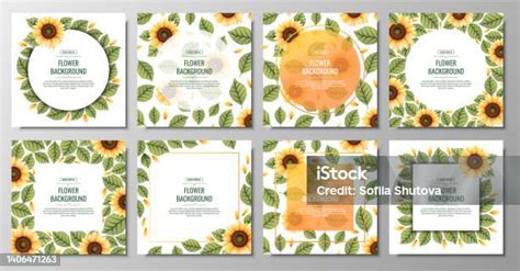 해바라기가있는 사각형 배경 세트 노란색 꽃과 녹색 잎이있는 꽃 프레임 배너 포스터 전단지 엽서 여름 일러스트 레이 션 패턴에 대한 스톡 벡터 아트 및 기타 이미지 Istock