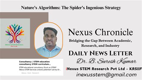 nature s algorithms the spider s ingenious strategy