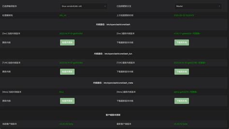 Bug clash 内核错误 Issue vernesong OpenClash GitHub