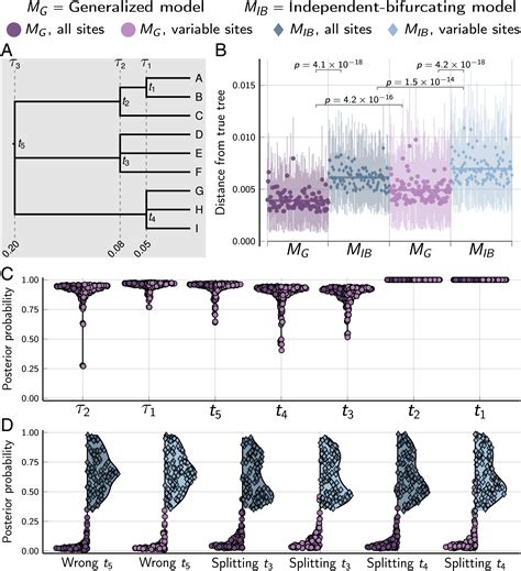 Generalizing Bayesian Phylogenetics To Infer Shared Evolutionary Events