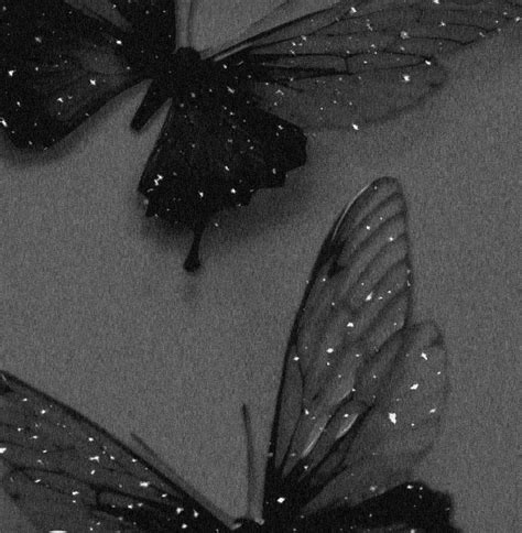 🦋