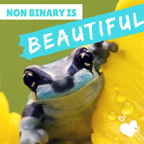 Frogs Are Nonbinary Culture — Non Binary Frog Mood Board