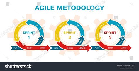 Agile Project Management Development Methodology Infographic Stock Vector Royalty Free