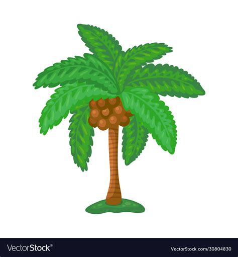 Kelapa Sawit Vector 54 Koleksi Gambar