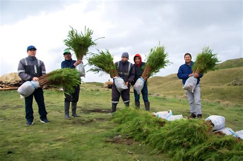 Anuncian campaña de forestación 2023 en Cajamarca Juntos por una Huella verde Desde Adentro