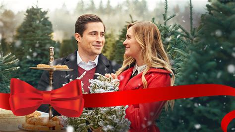 Watch Wrapped Up In Love Lifetime
