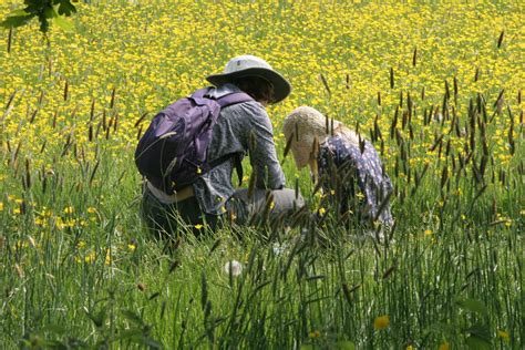 Mothers Day Sleepover Hampshires Top Attractions