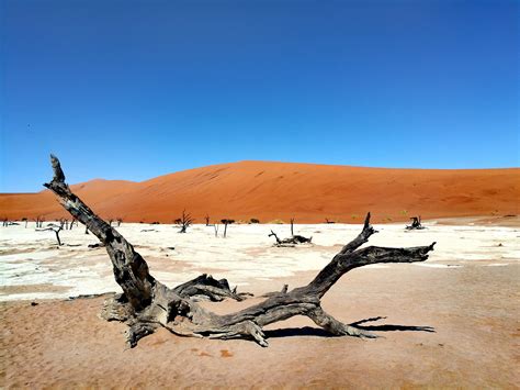 Arid Climate Near Land Bright Outdoors Nature Arid Desert Hot